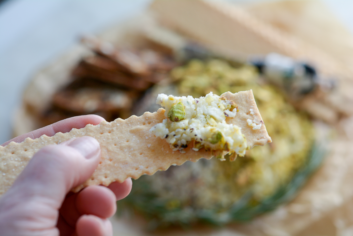 Cheeseball - SheCooks.Design